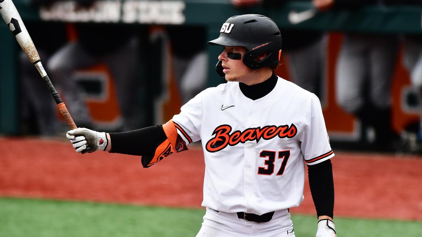 Swing for the Fences: Some Facts About The Beavers - The Wellix